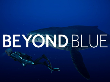 Beyond Blue